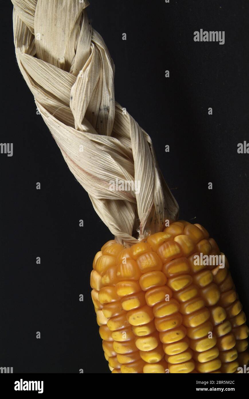 Braided Husk High Resolution Stock Photography and Images - Alamy