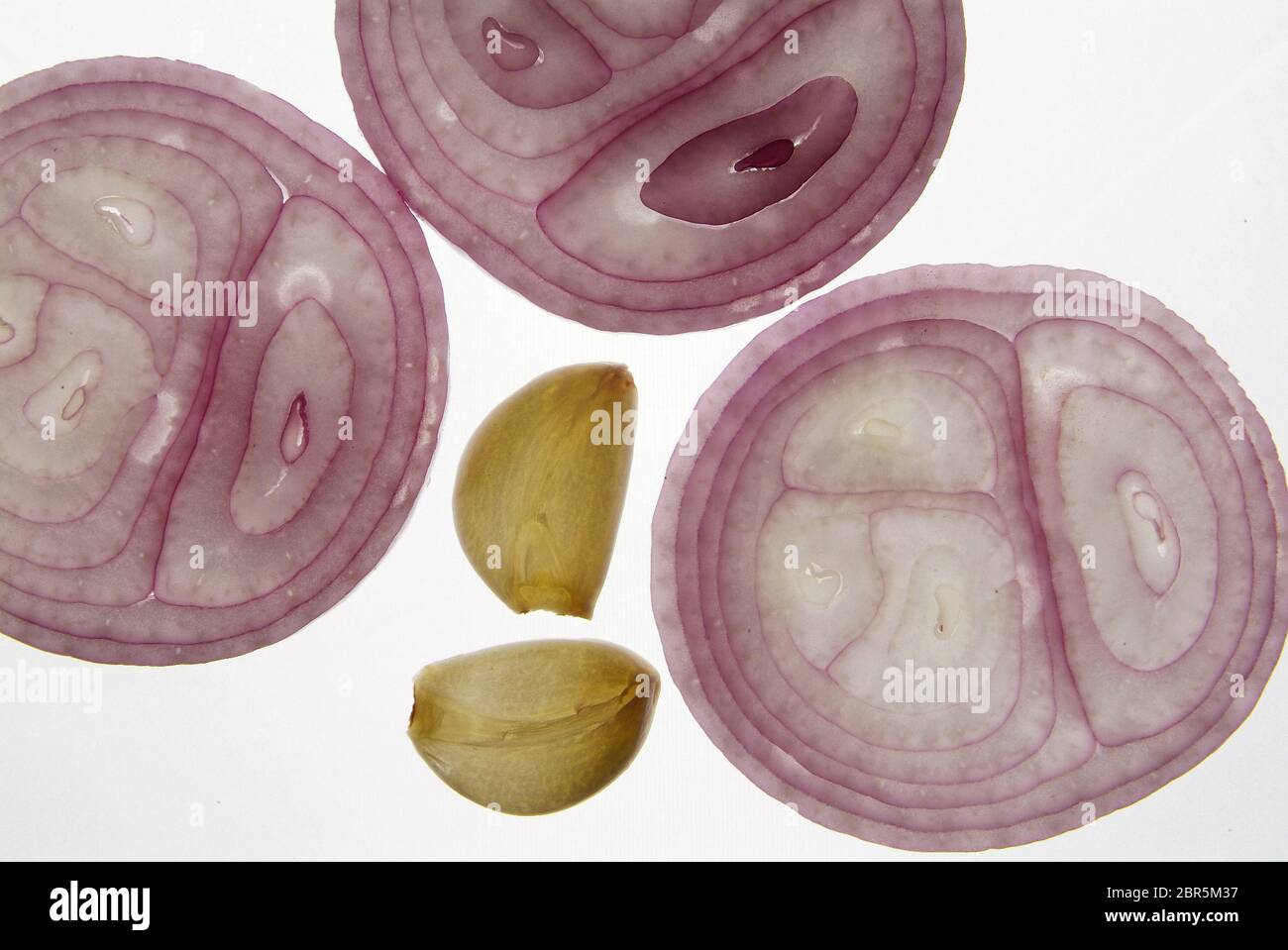 Cross section slice of red onion and garlic against light background on ...