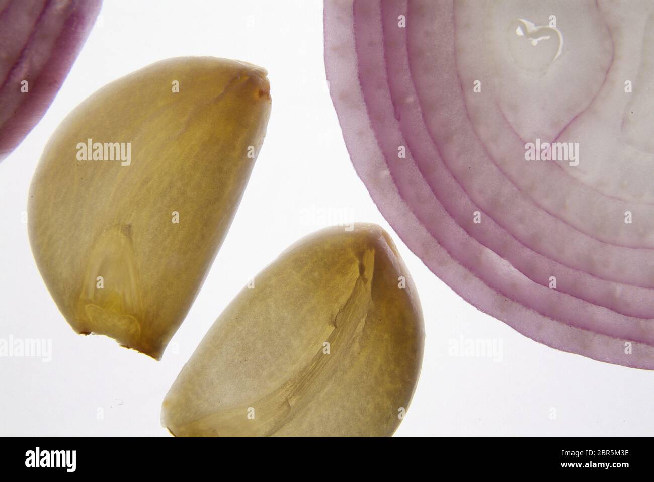 Cross section slice of red onion and garlic against light background on ...