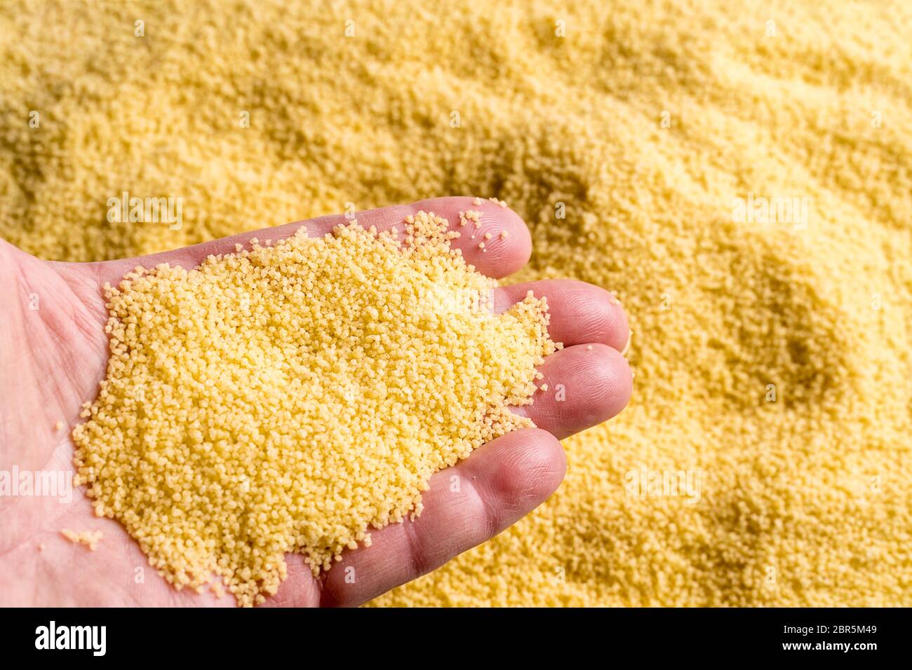 White cuscus hi-res stock photography and images - Alamy