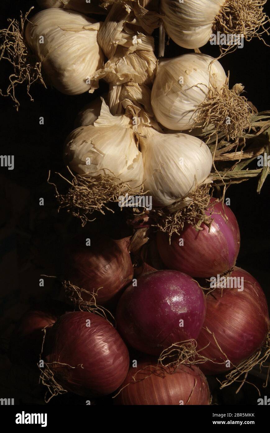 Bunche of onions and garlic hanging from the ceiling in a barn with ...