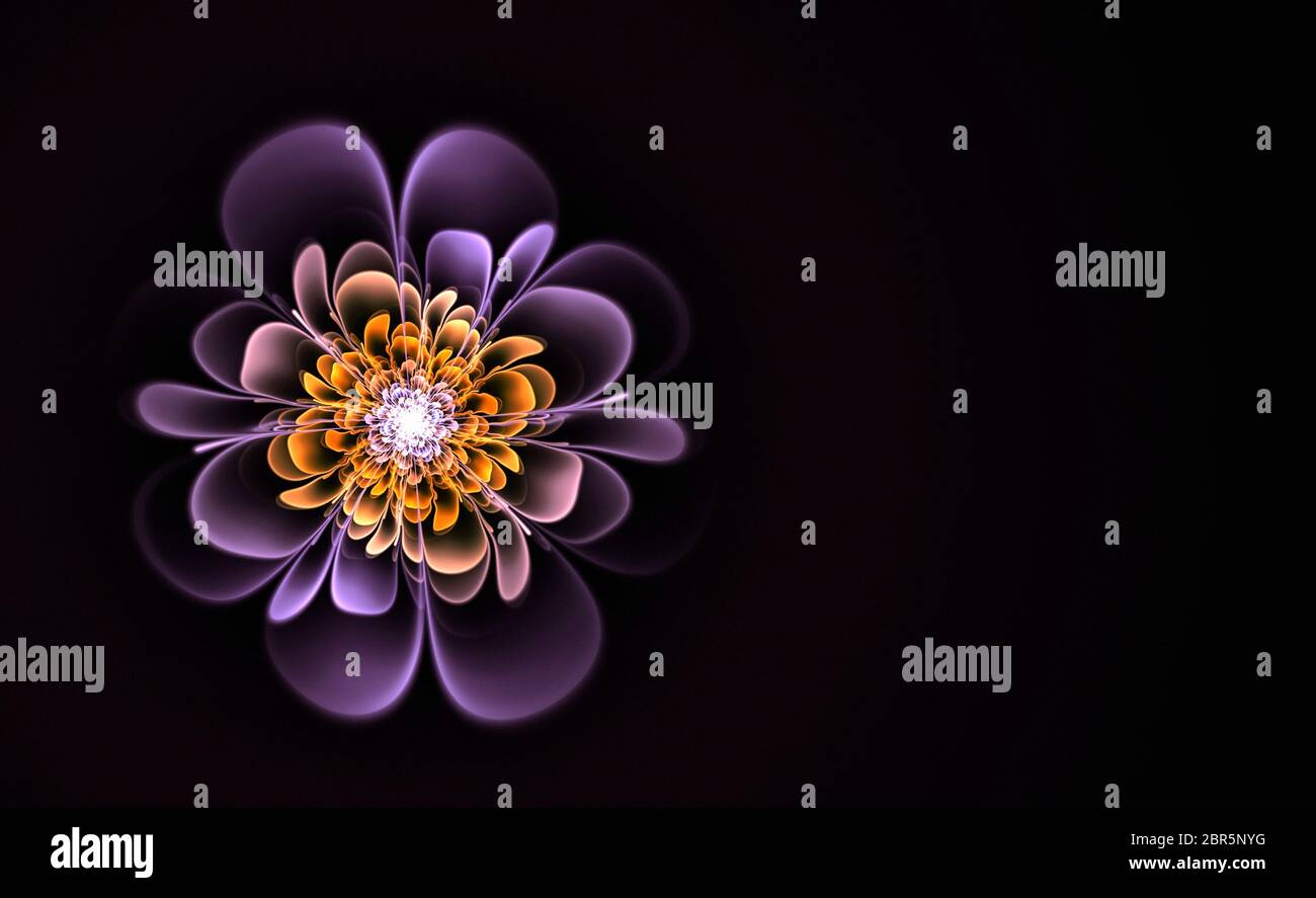 Abstract fractal flower computer generated image, for design ...
