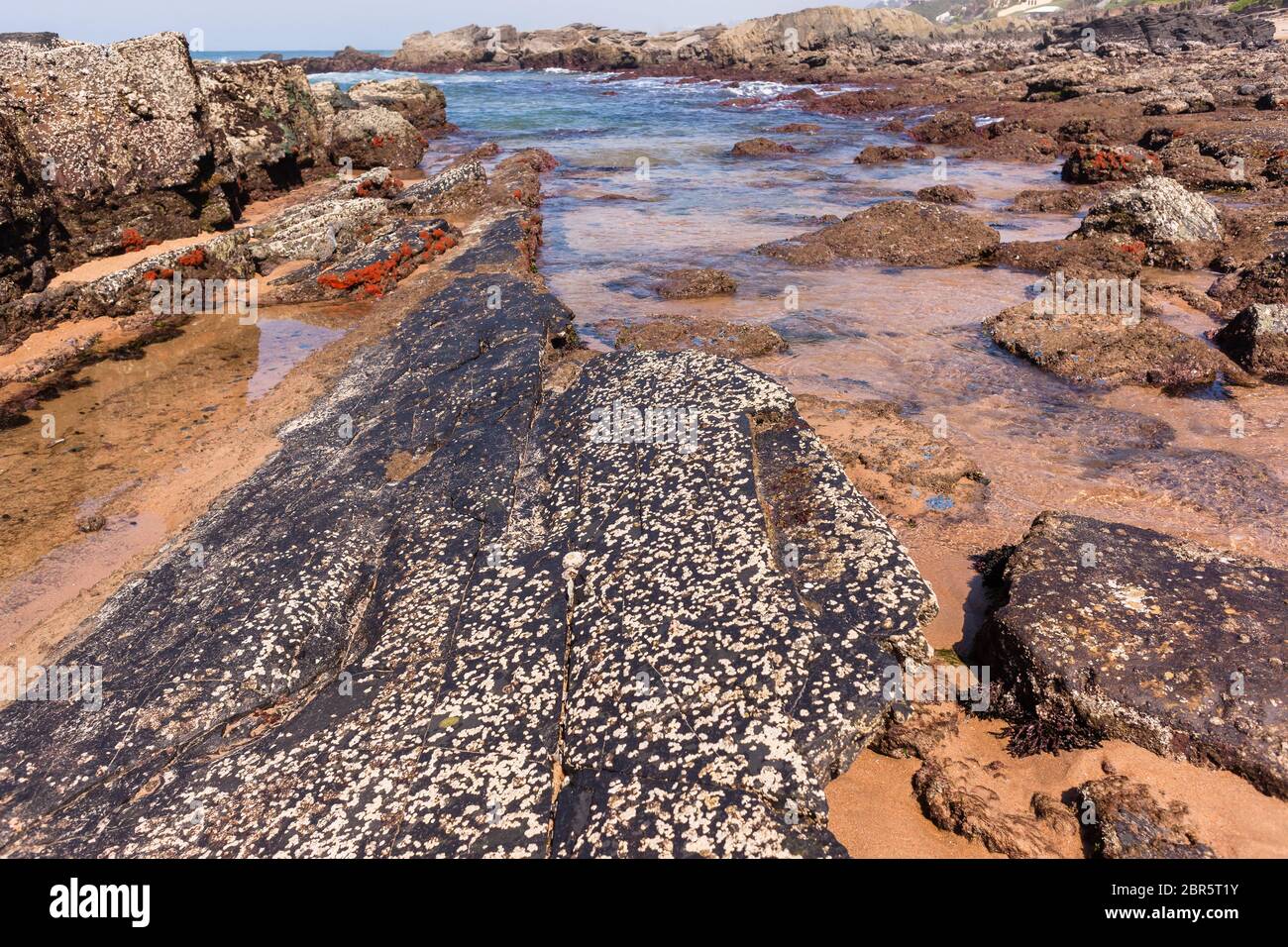 Rocky ocean coastline tidal water pools in vintage contrasts Stock ...
