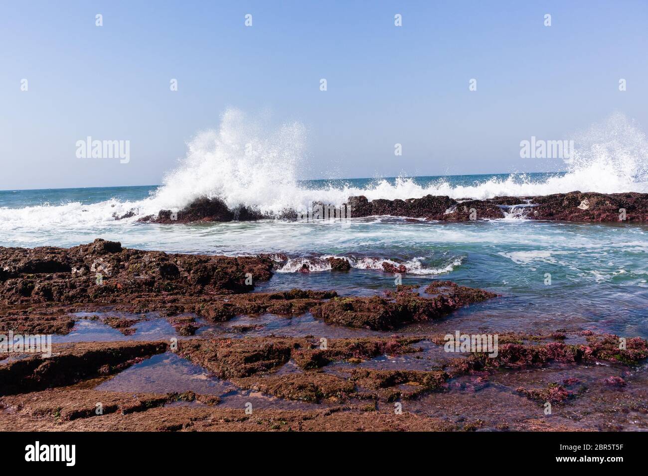 Rocky ocean coastline tidal water pools in vintage contrasts Stock ...