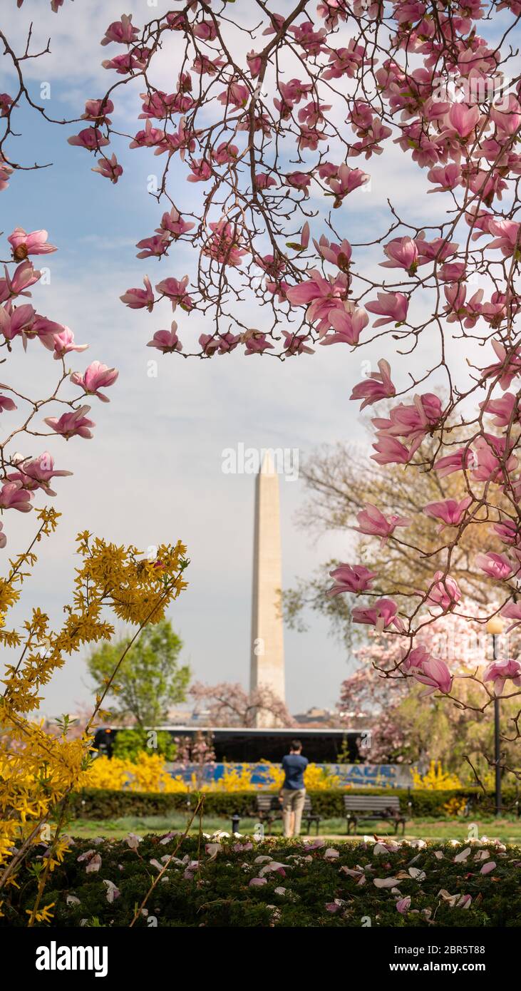 Opening in hedge hi-res stock photography and images - Alamy