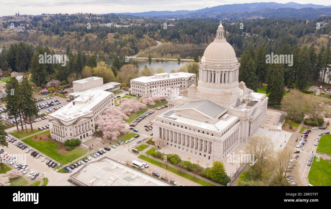 The capitol building in Olympia is adorned by the annual blooming of ...