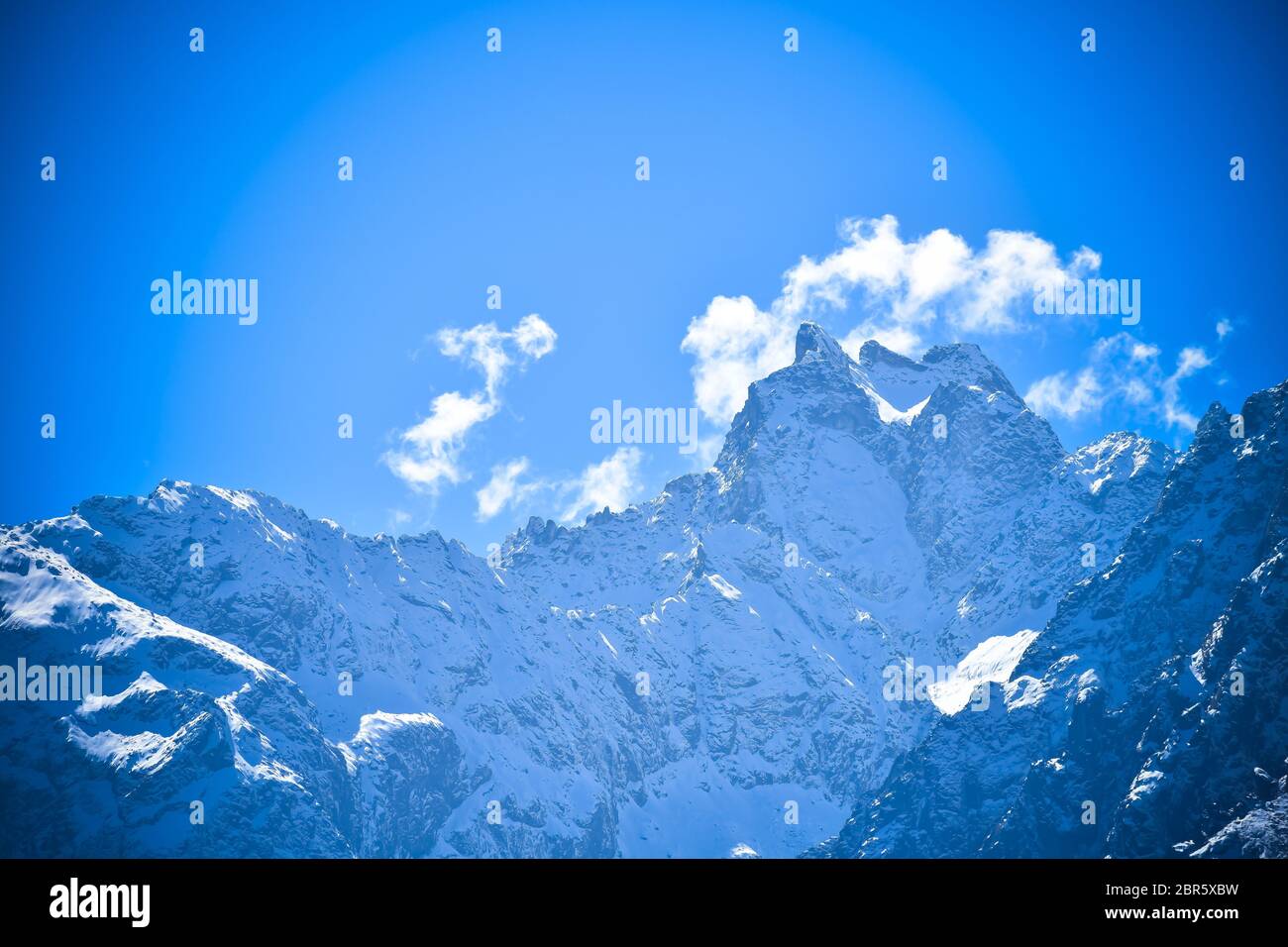 Selective focus: Yumthang Valley or Valley of Flowers sanctuary, is a ...