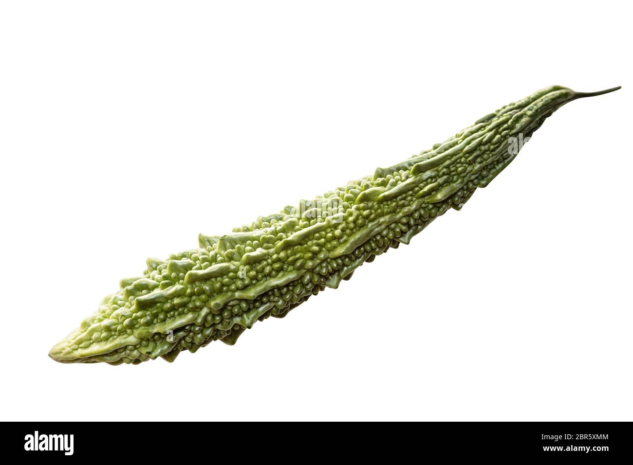An Overhead View Of Whole Green Bitter Gourd On White Background Stock ...