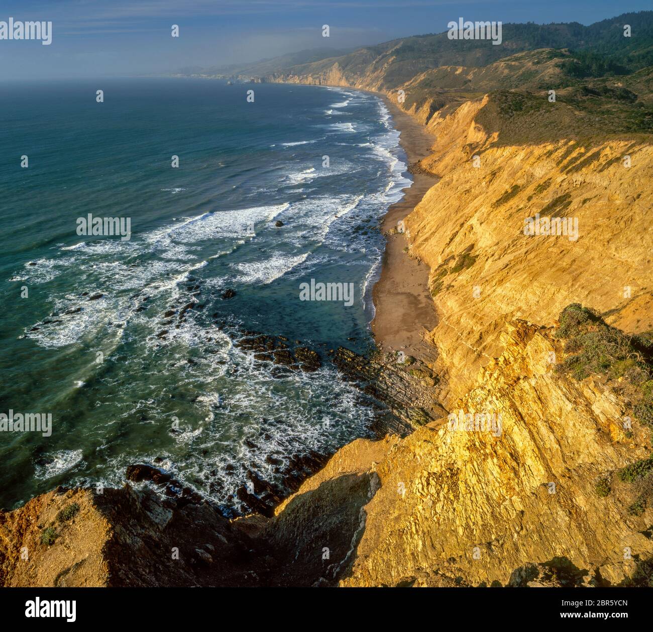 Point reyes state hi-res stock photography and images - Alamy