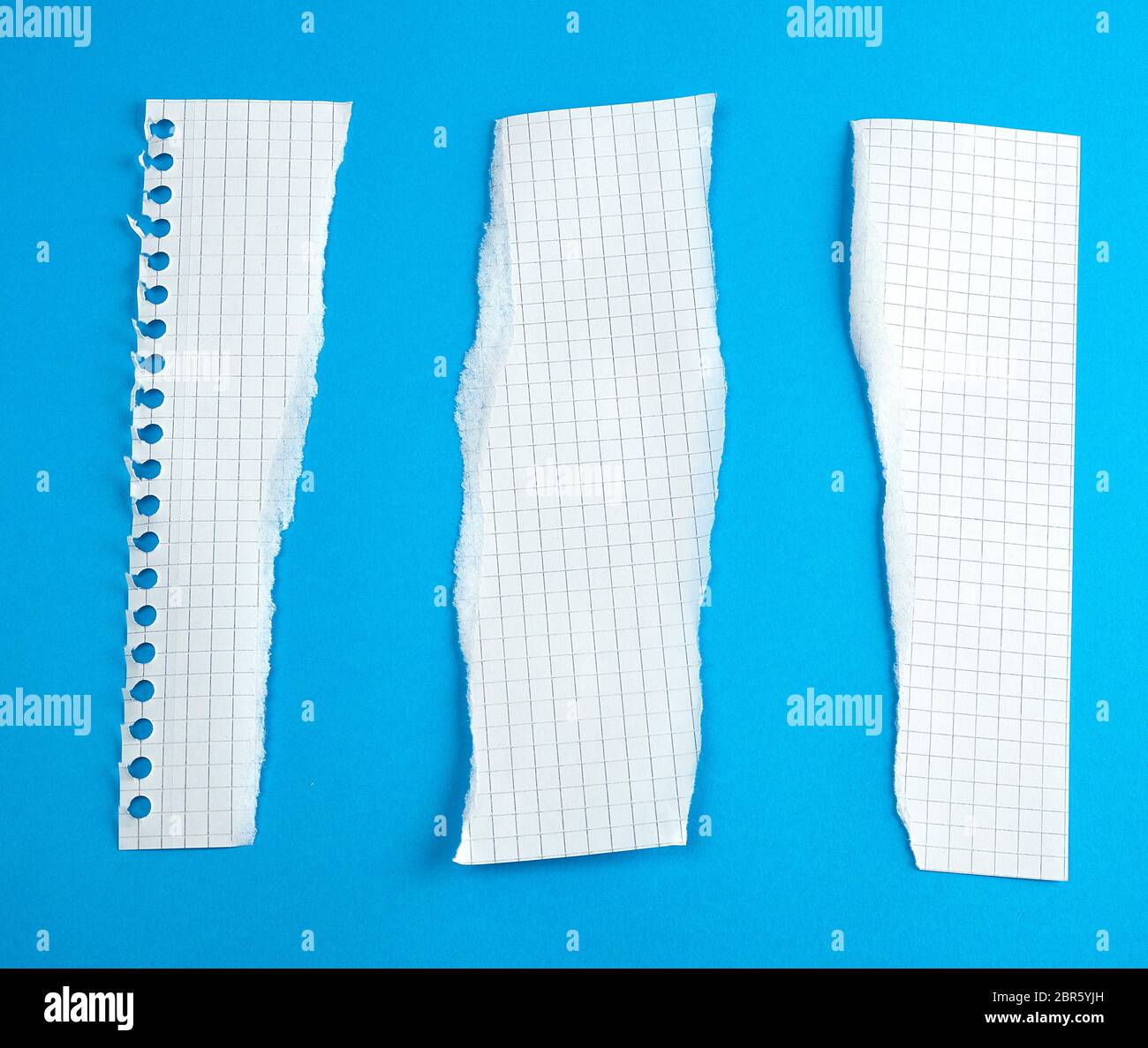 torn strips of paper from a school notebook into a cell on a blue ...