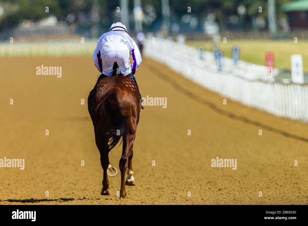Starting gates hi-res stock photography and images - Alamy