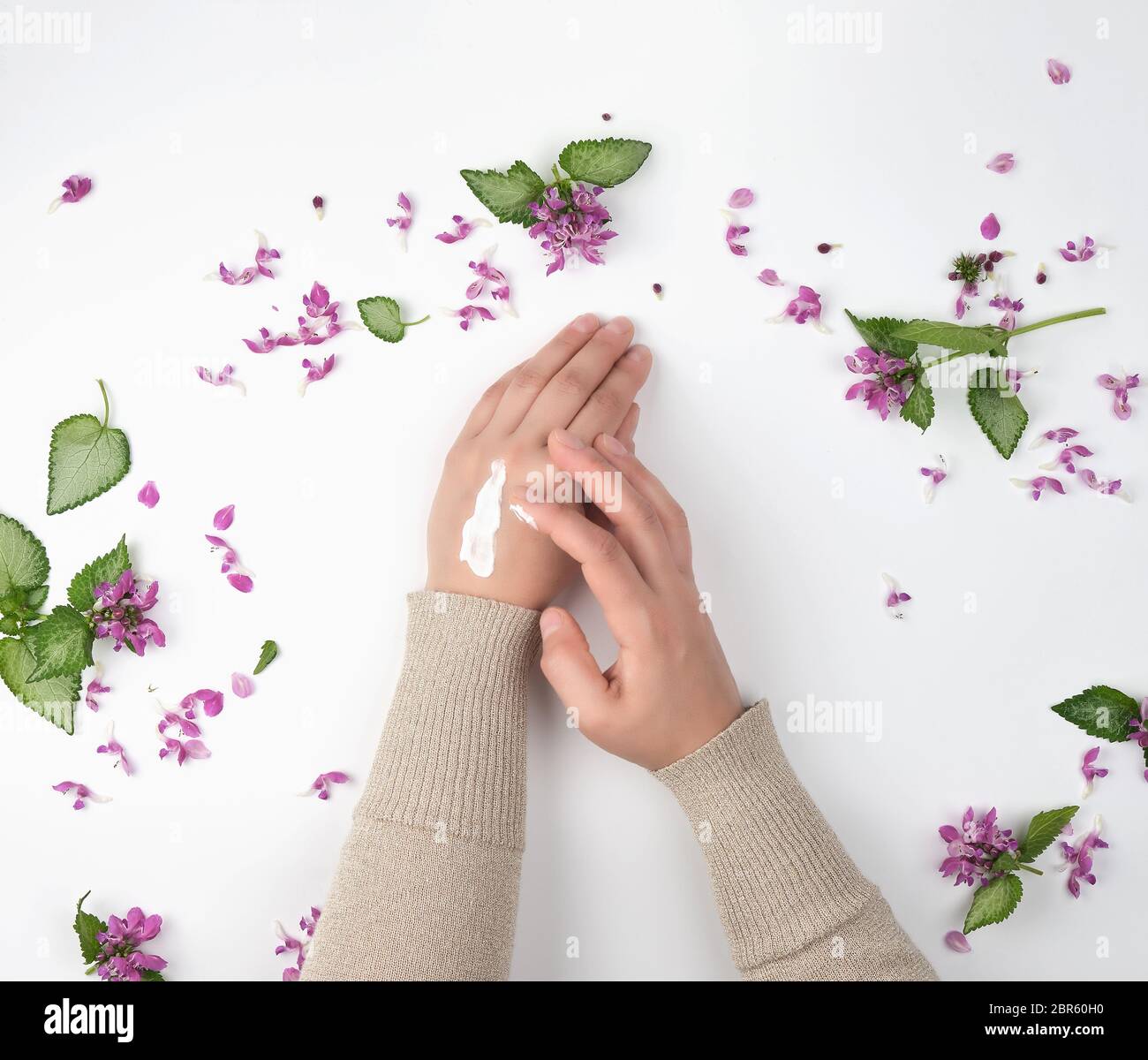 two female hands and a thick cream , top view, concept of anti-aging ...