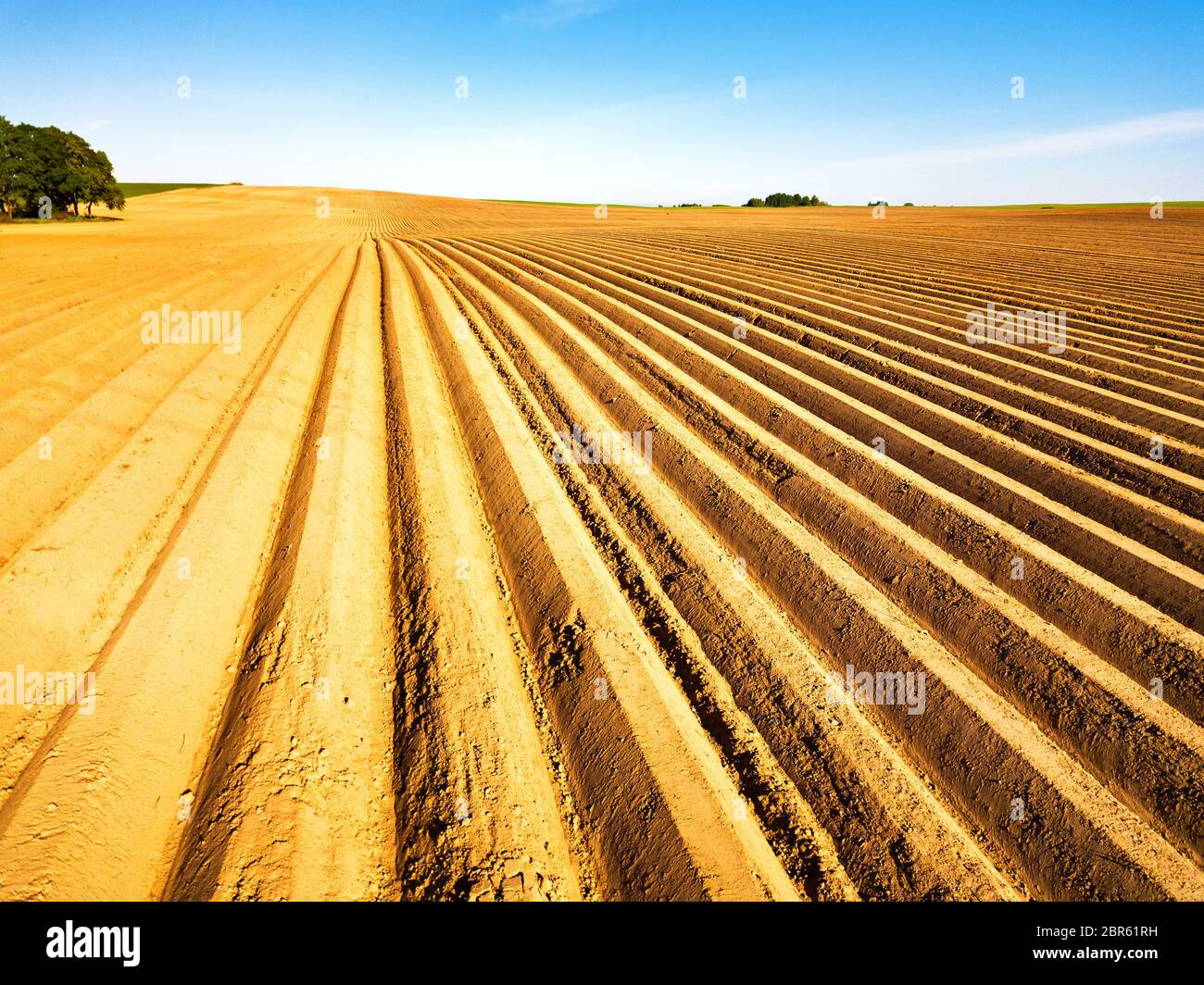Furrows row pattern in a plowed field prepared for planting crops in ...