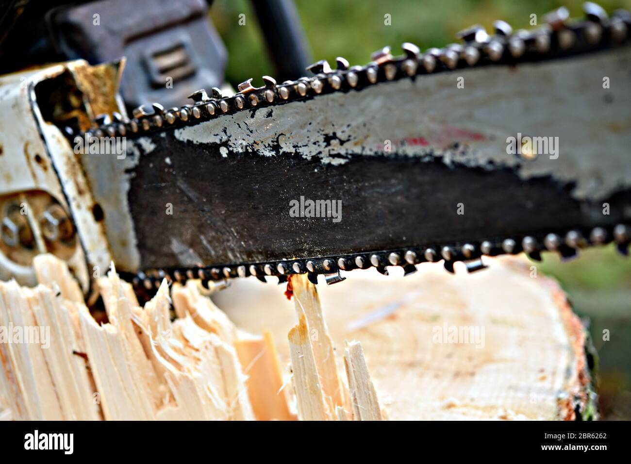 worn chainsaw on fresh tree stump Stock Photo - Alamy