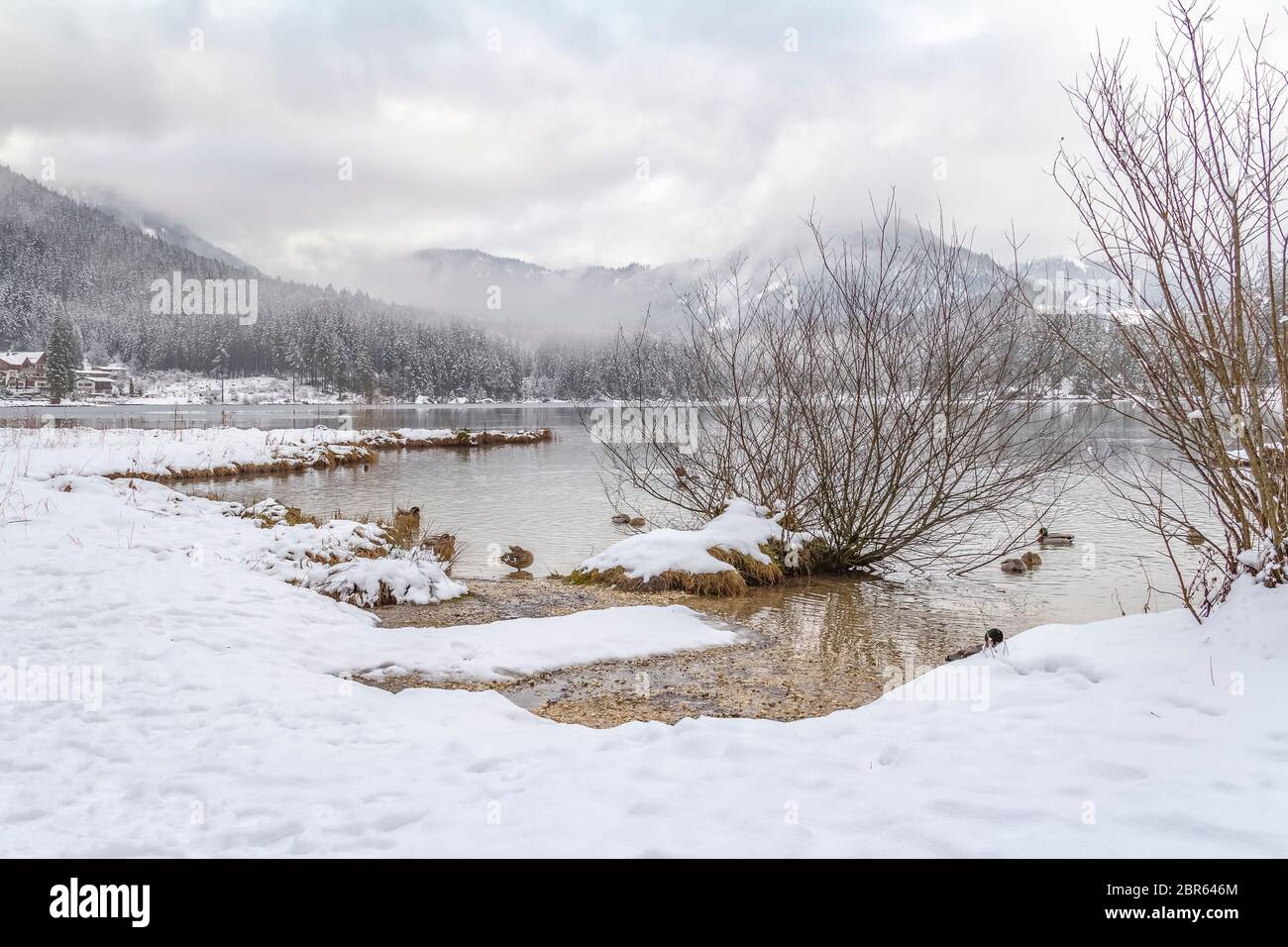 lake named Hintersee in Bavaria at winter time Stock Photo - Alamy