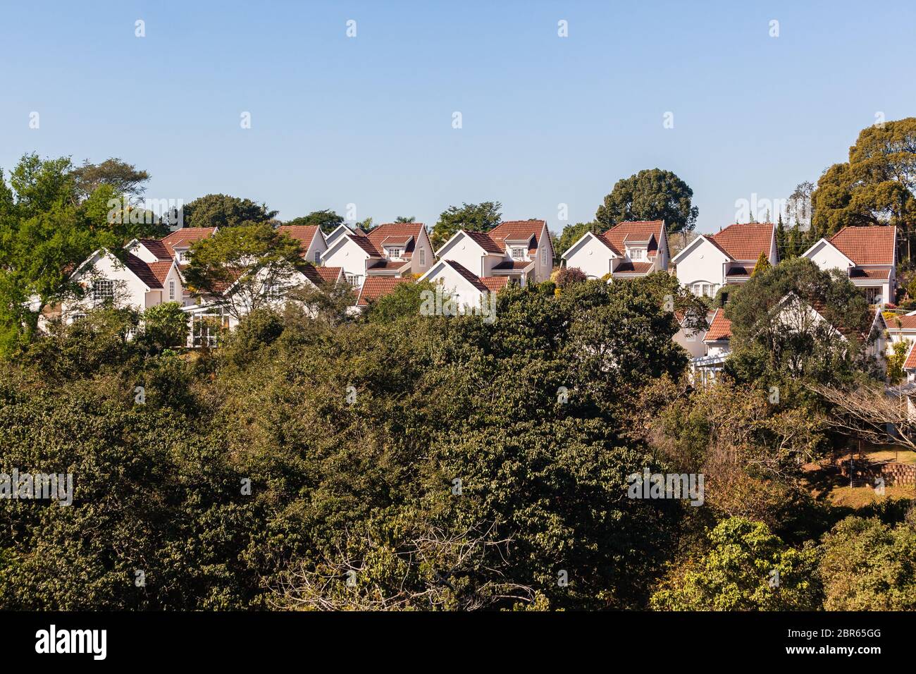 Community cluster hi-res stock photography and images - Alamy