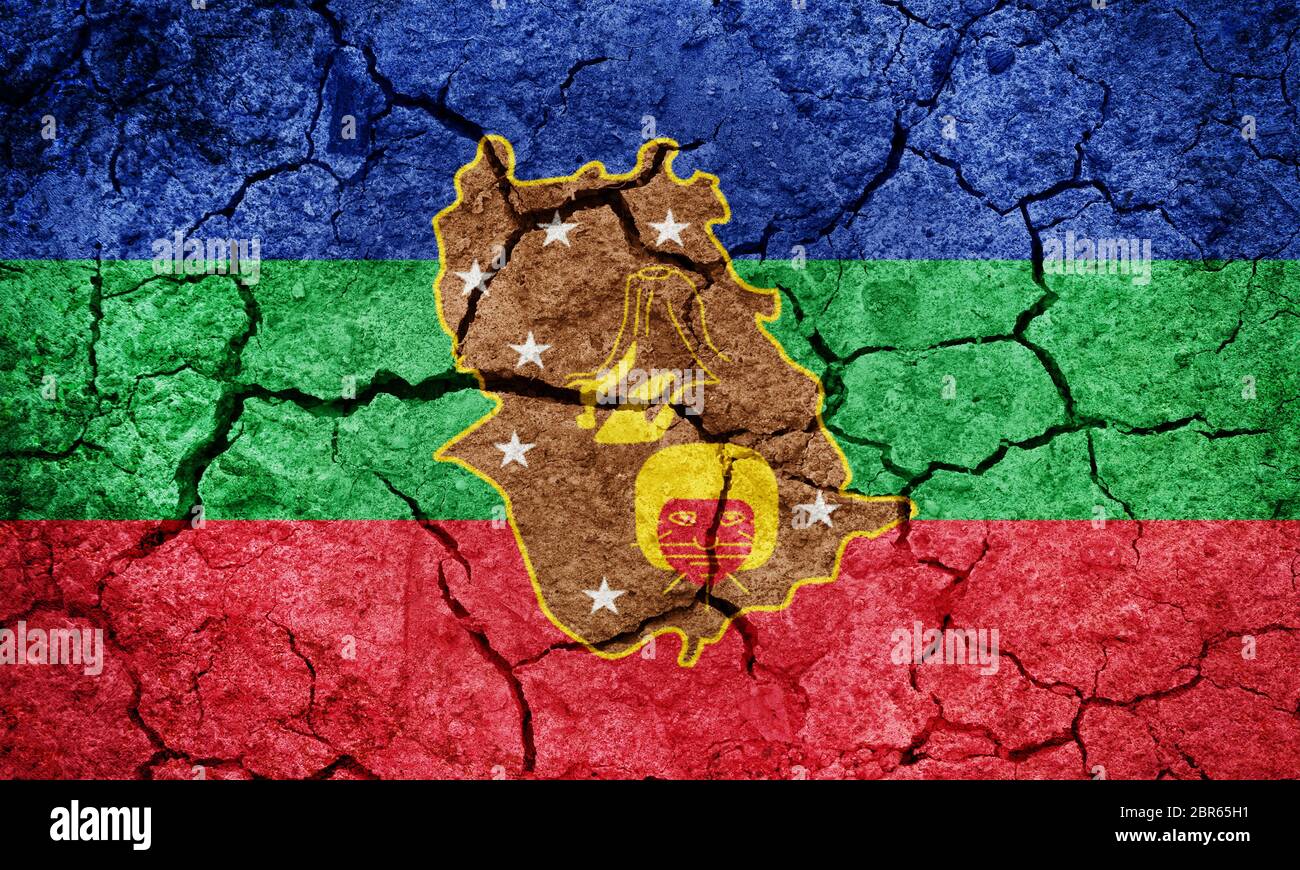 Amazonas State flag, state of Venezuela, on dry earth ground texture ...