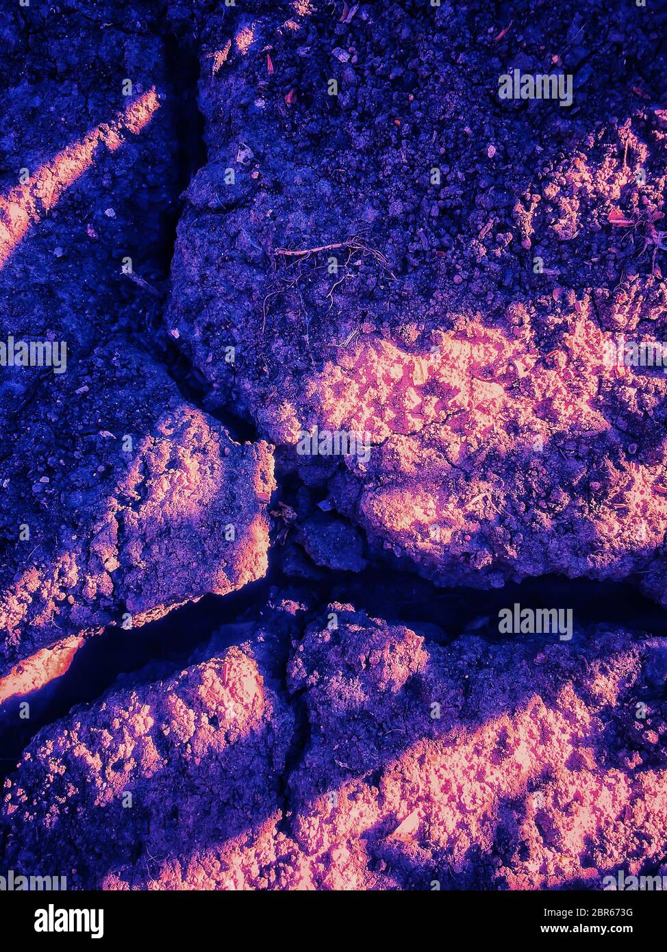 Dry agriculture field. Texture of soil. Abstract natural background ...