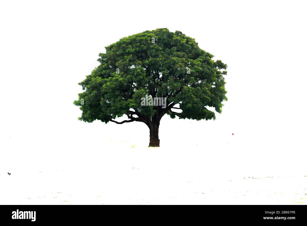 Beautiful view in rural Cut Out Stock Images & Pictures - Alamy