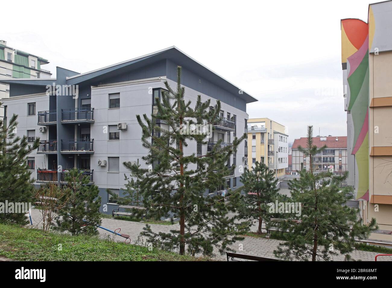 Evergreen Pine Tree and Residential Condo Buildings Stock Photo - Alamy