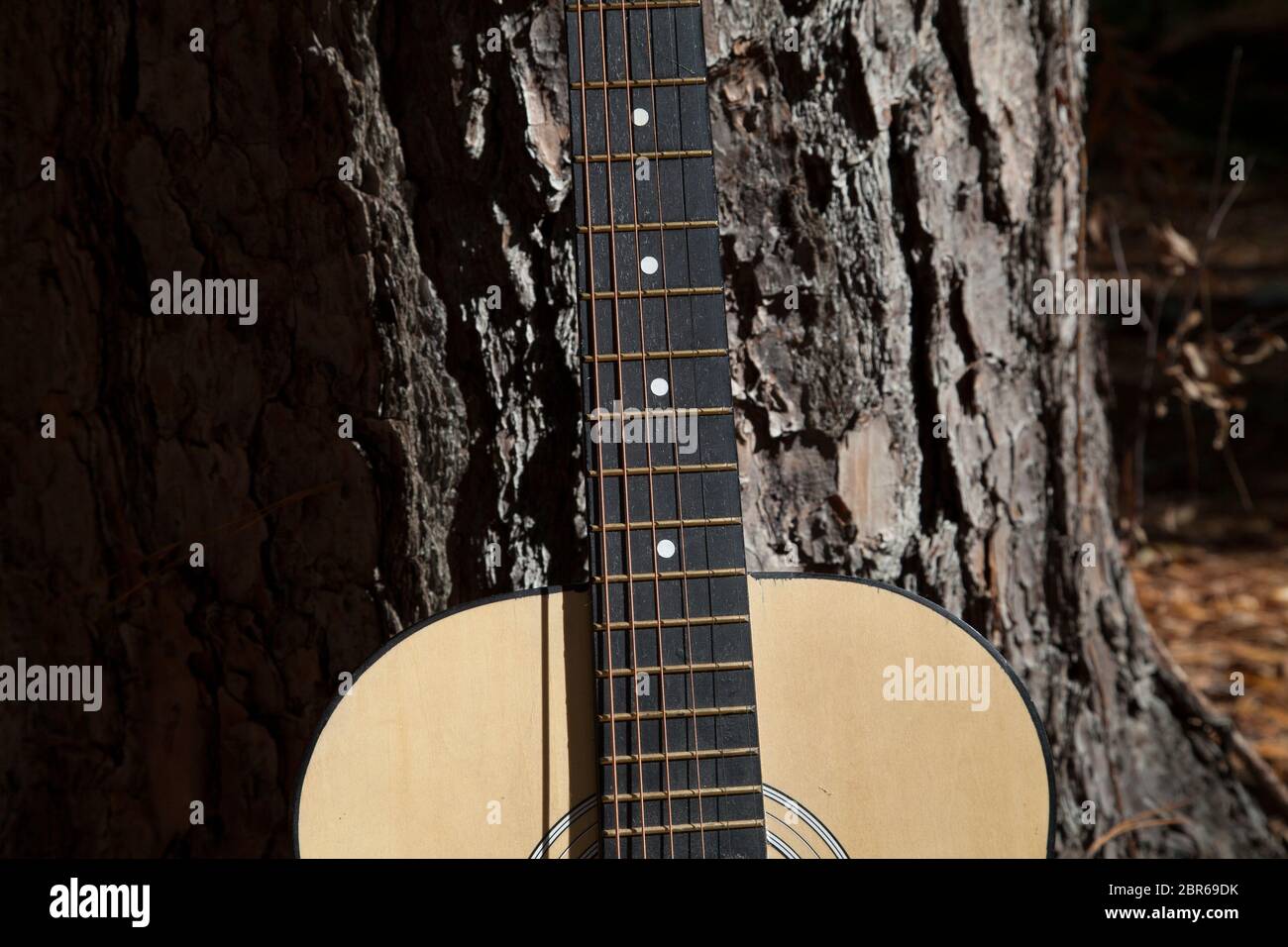 Propped up against tree hi-res stock photography and images - Alamy