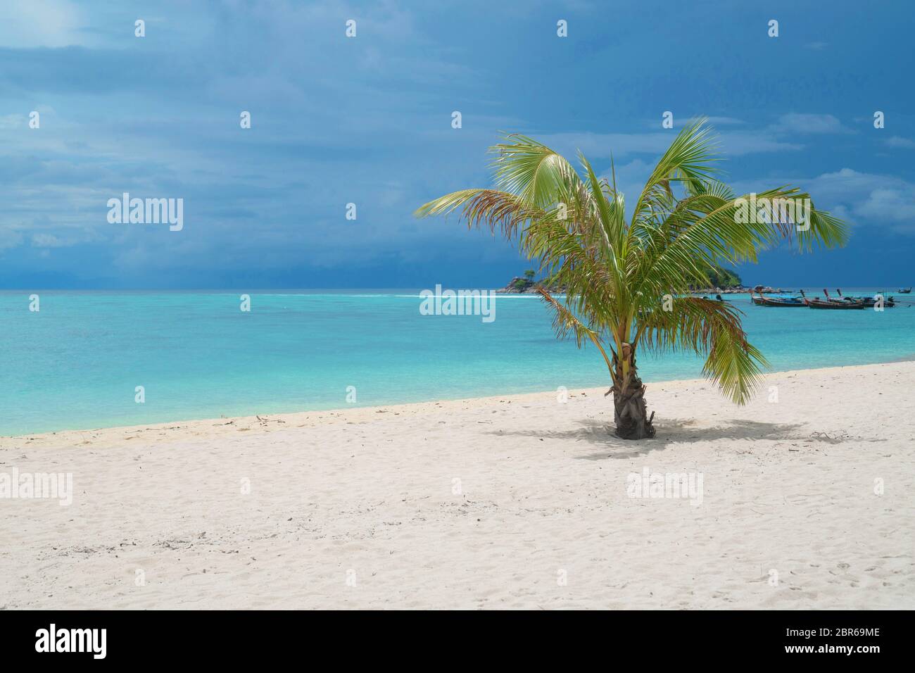 Smal green palm tree on beautiful beach over lagoon sea water with ...