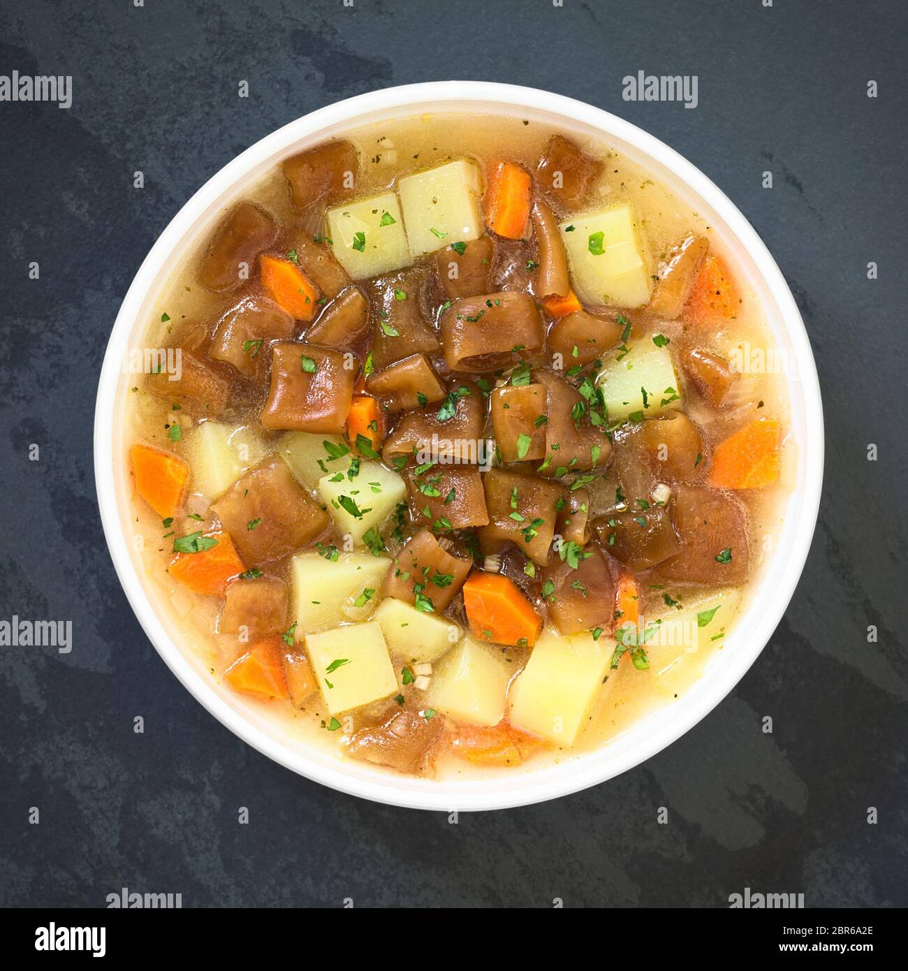 Traditional Chilean Estofado or Guiso de Cochayuyo (lat. Durvillaea ...