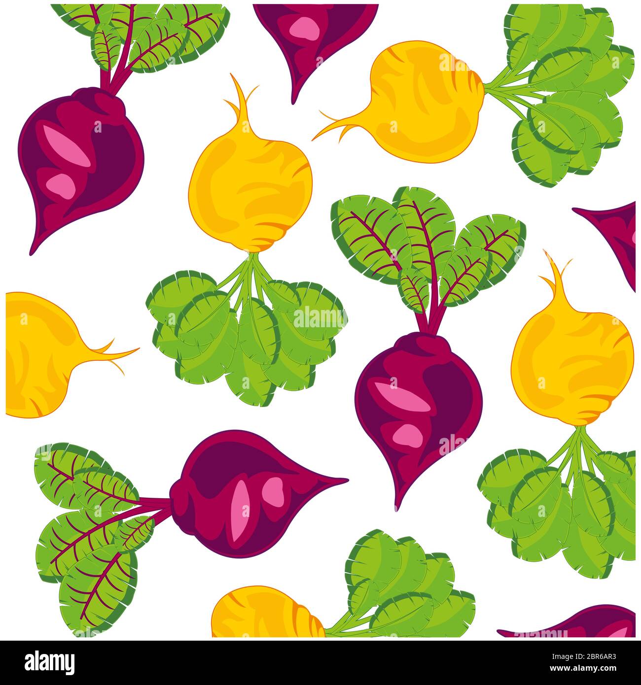 Vegetables turnip and sugar beet on white background is insulated Stock ...
