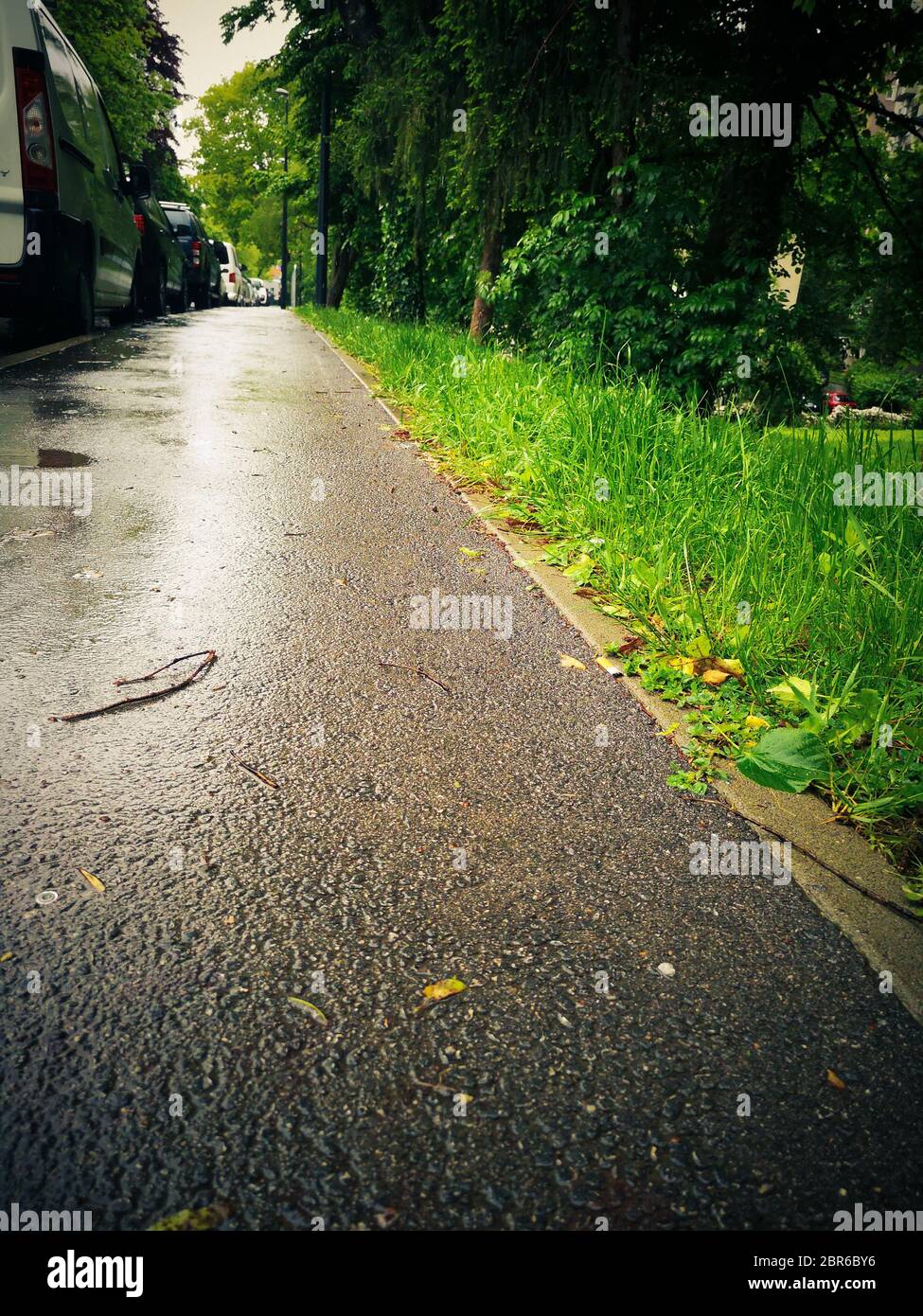 a sidewalk in the rain surrounded by parked vehicles and greenery ...