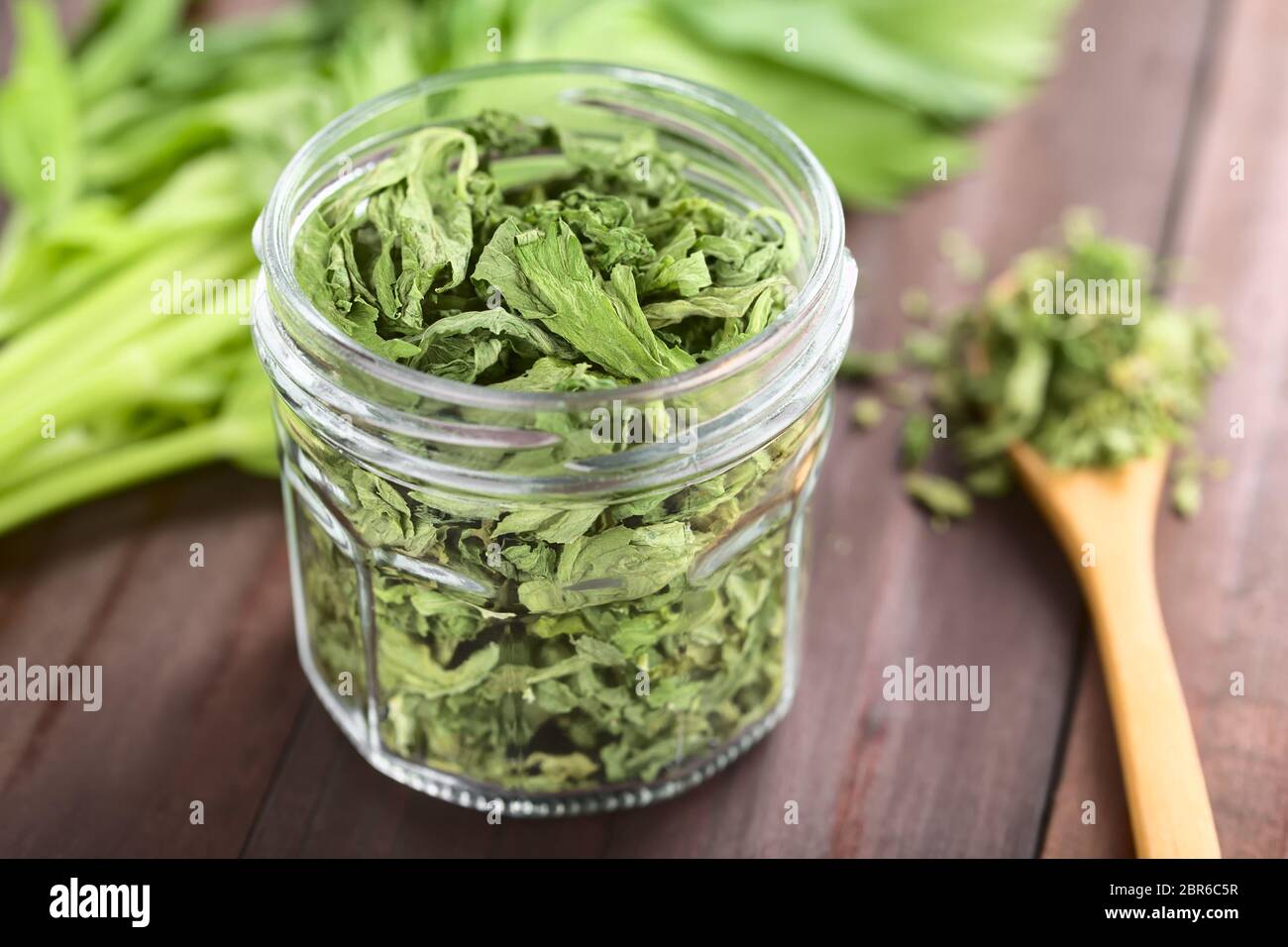 Dried celery leaves to be used as seasoning in soups and stews ...