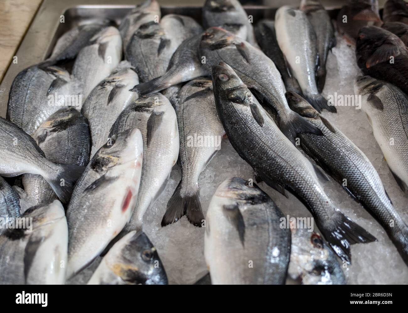 Fresh fish for sale at a fish market Stock Photo - Alamy