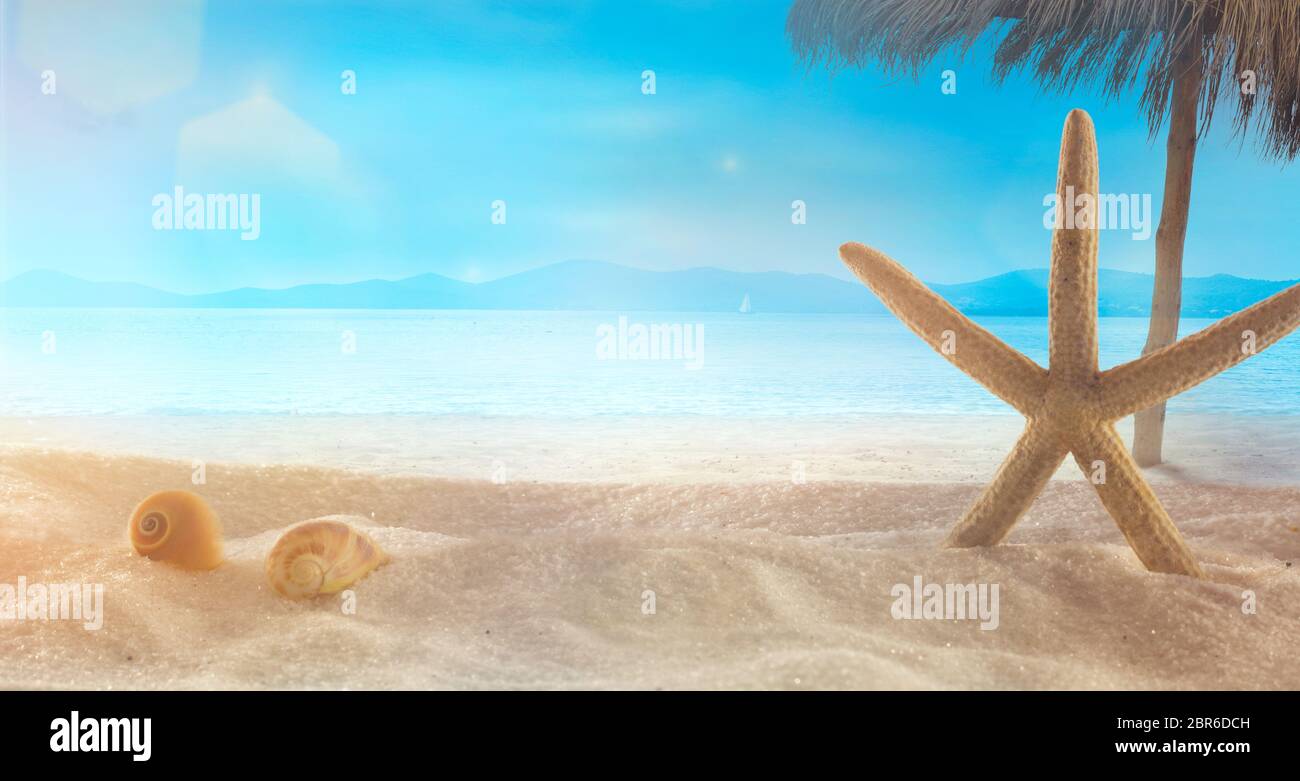 Beach summer background. Summer holidays wih star fish on sand. Sandy ...