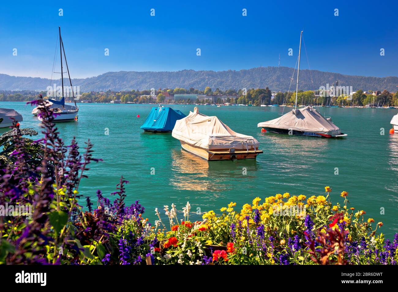 Coloruful Zurich lake and Swiss landscape view, central Switzerland ...