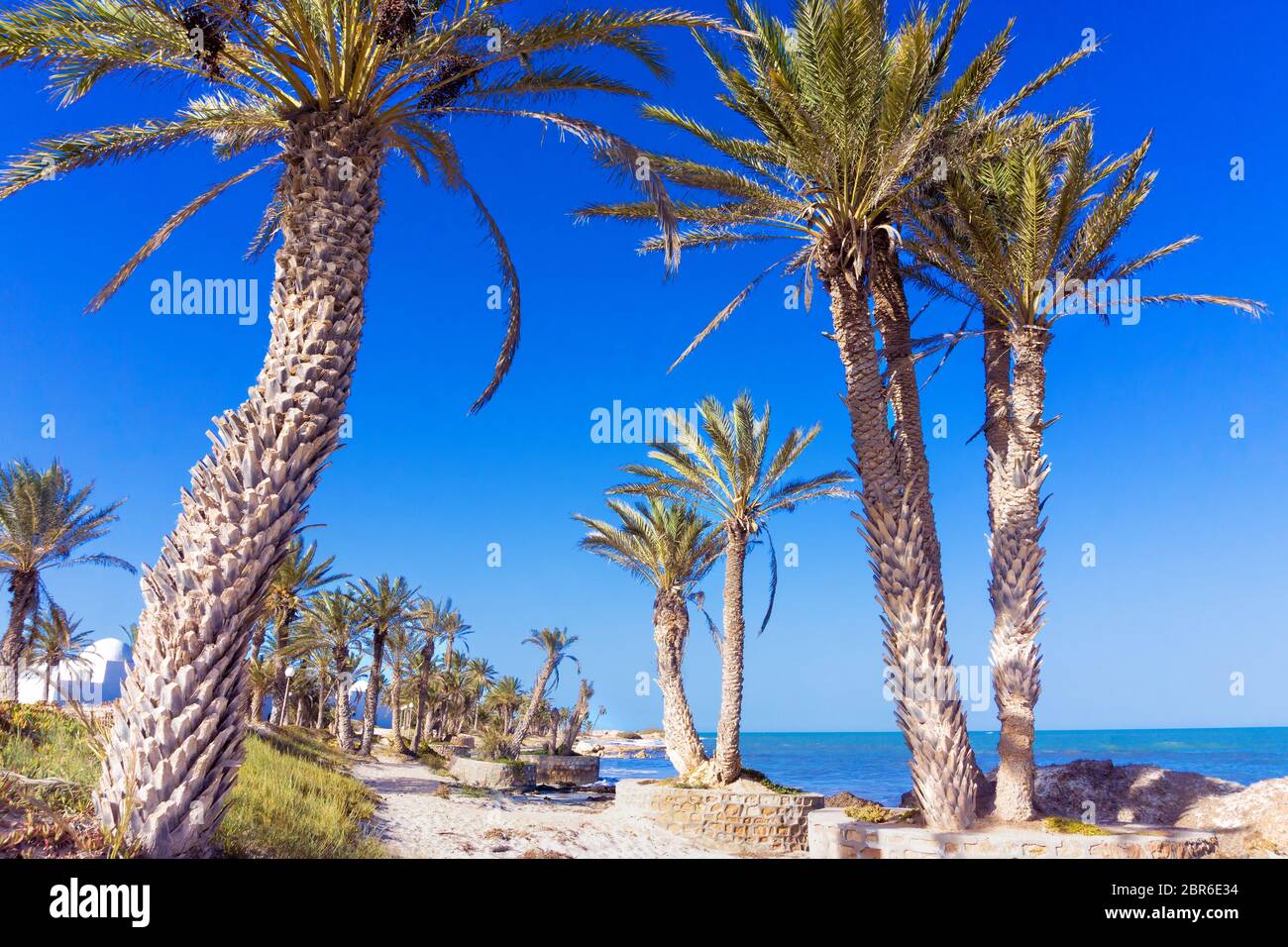 Landscape of the Mediterranean Sea with Palm Trees in the Coastal Area ...