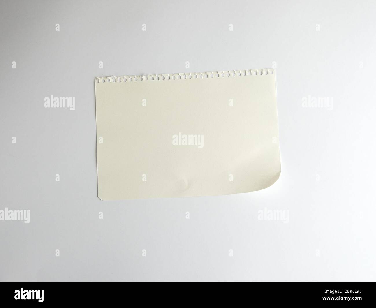 empty rectangular white sheet torn out of spiral notepad on a white ...