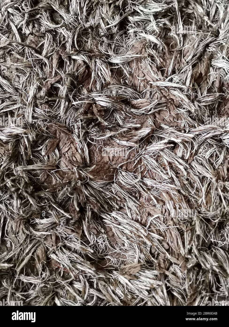 carpet with long hair. texture full frame background photo Stock Photo ...