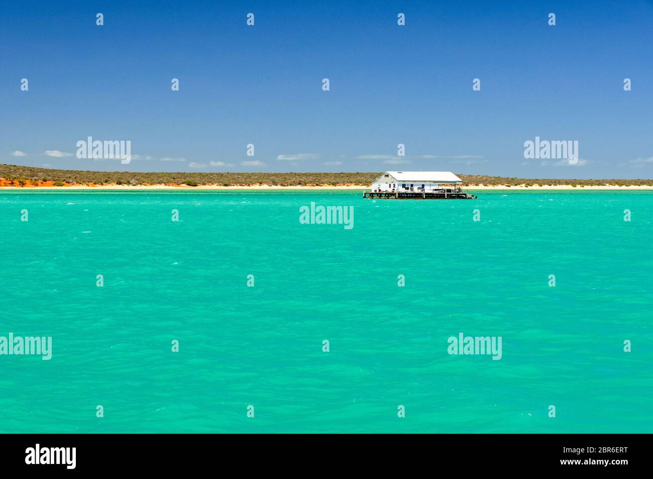 Pontoon floating on the tranquile shallow water of Shark Bay Marine ...