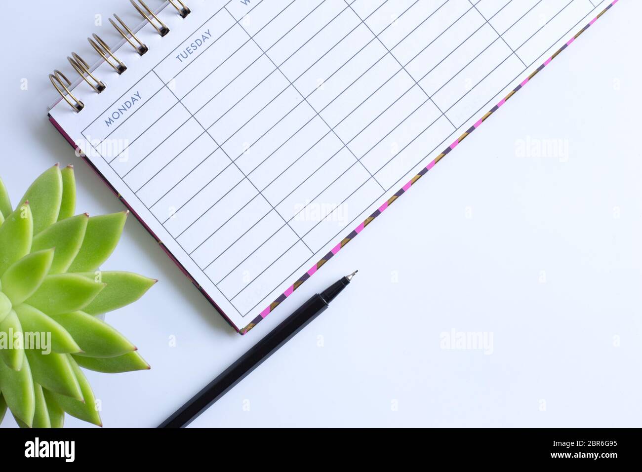 Stationery flat lay. Home plant soft focus and weekly organizer planner ...