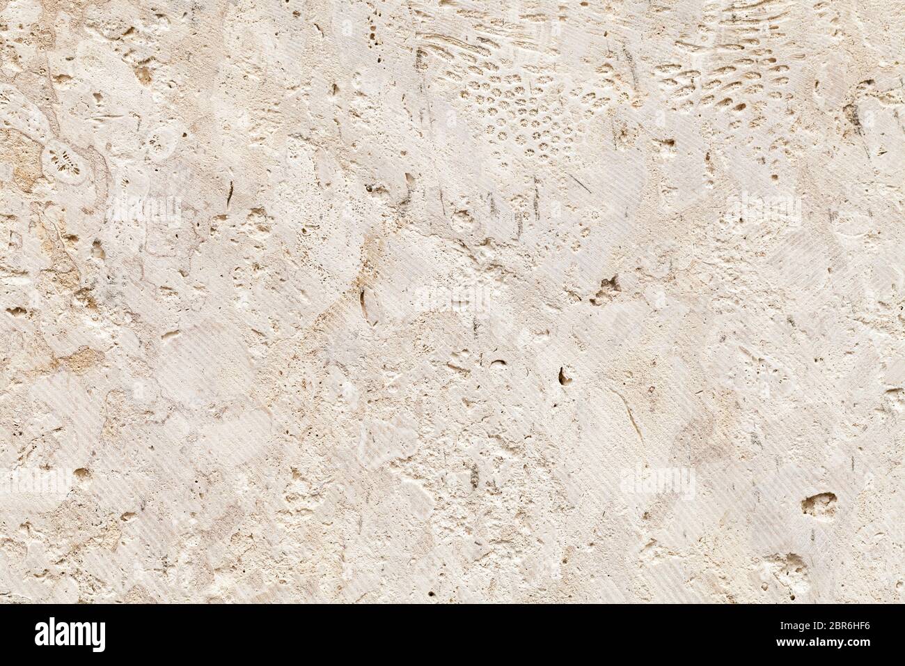 Fossiliferous hi-res stock photography and images - Alamy