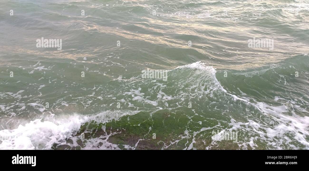 relaxing green sea waves background Stock Photo - Alamy