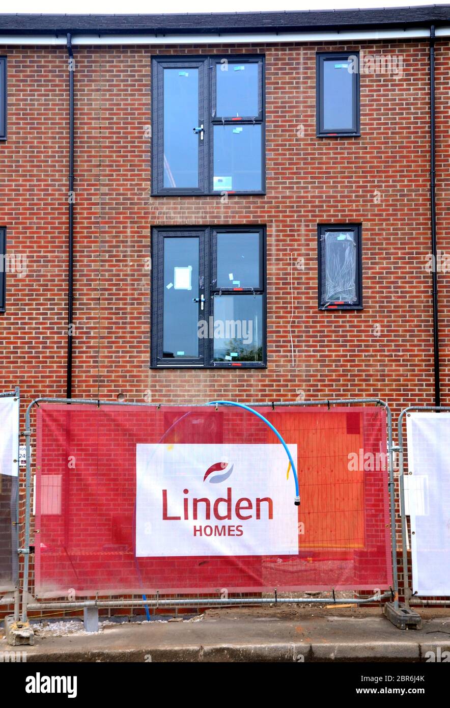 Linden house hi-res stock photography and images - Alamy