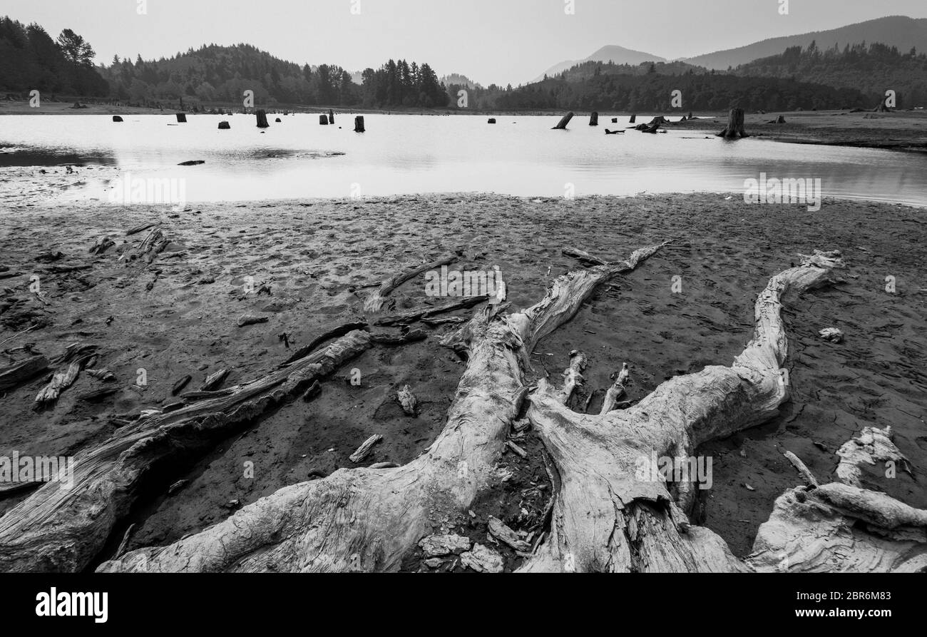 Sunny Beach Point Alder Lake at Phyllis Lange blog