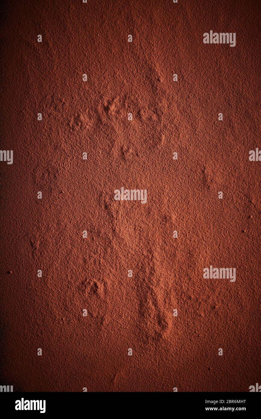 Background texture of cocoa or chocolate powder in a flat layer with ...