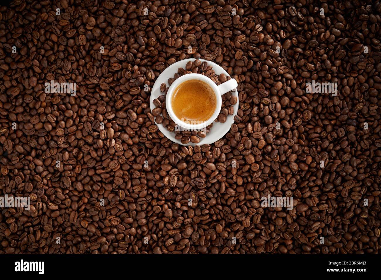 Small white cup of frothy hot strong espresso coffee nestling on a ...