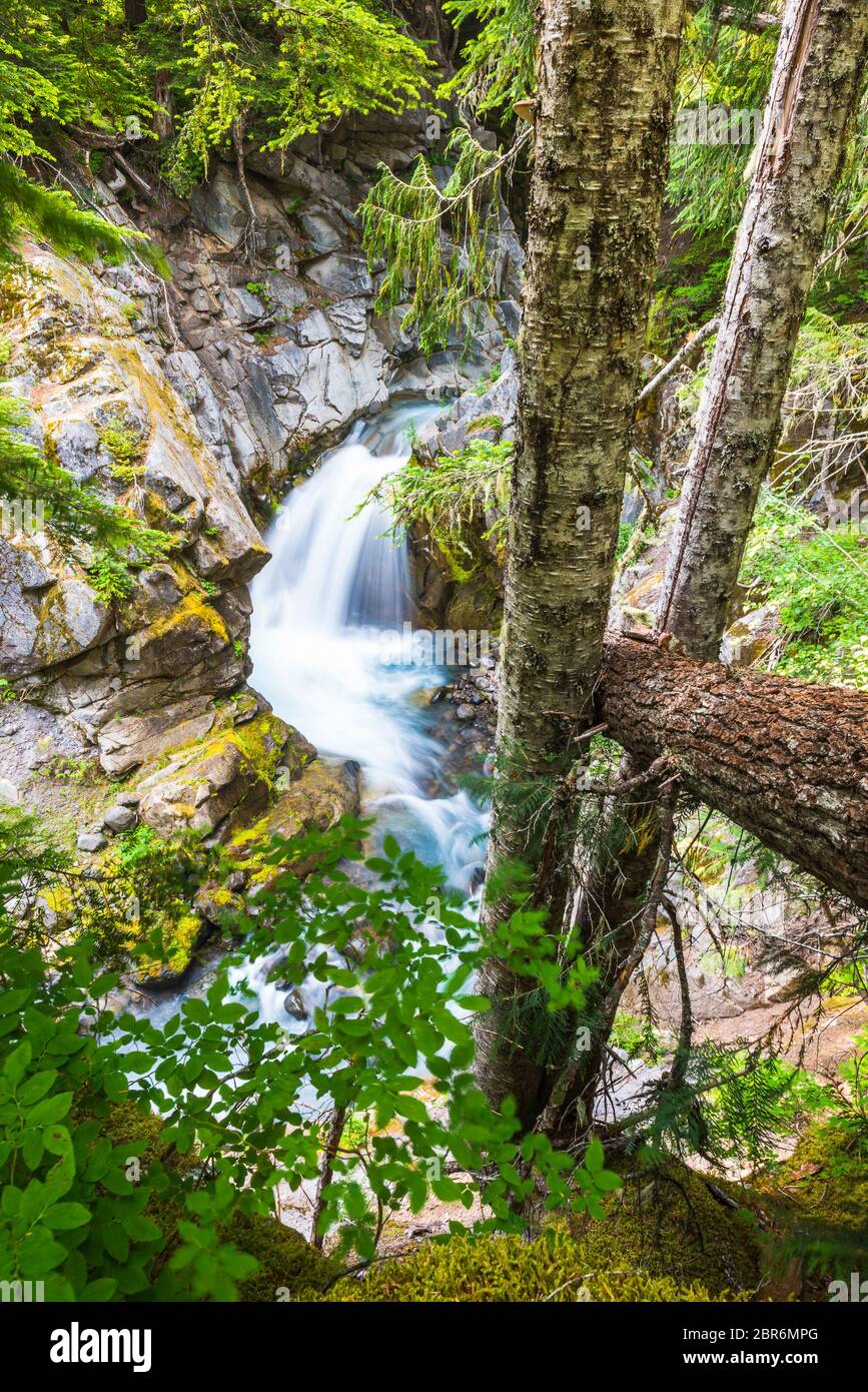 water fall in Cristian fall area,scene in mt.Rainier National park,Wa ...