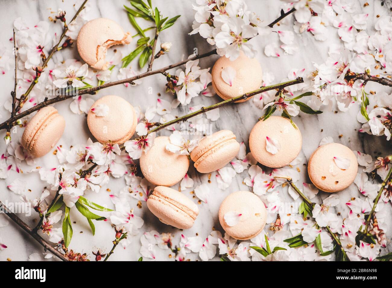 Macaron texture hi-res stock photography and images - Alamy
