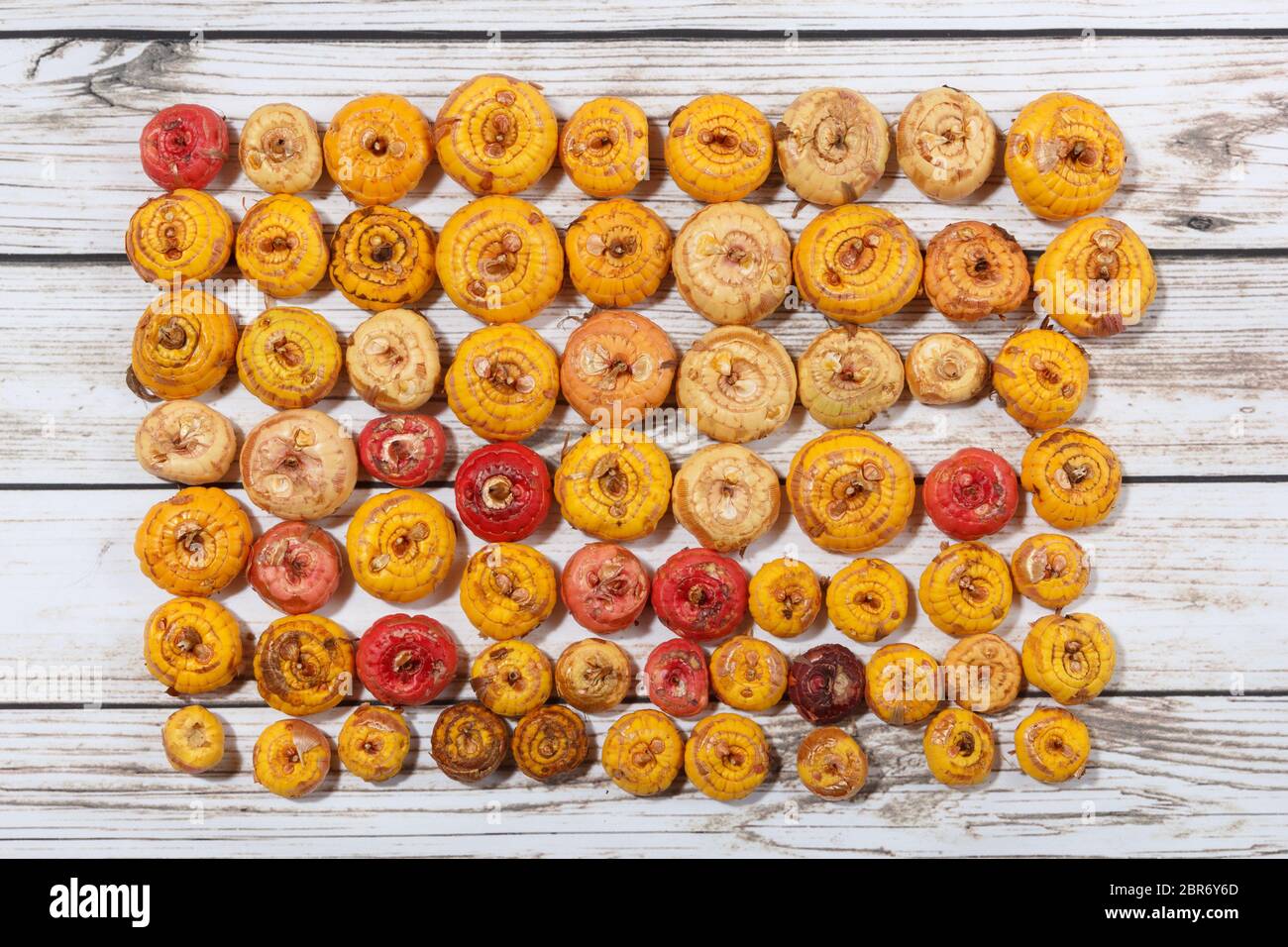 pile of natural onions with some small defects Stock Photo - Alamy