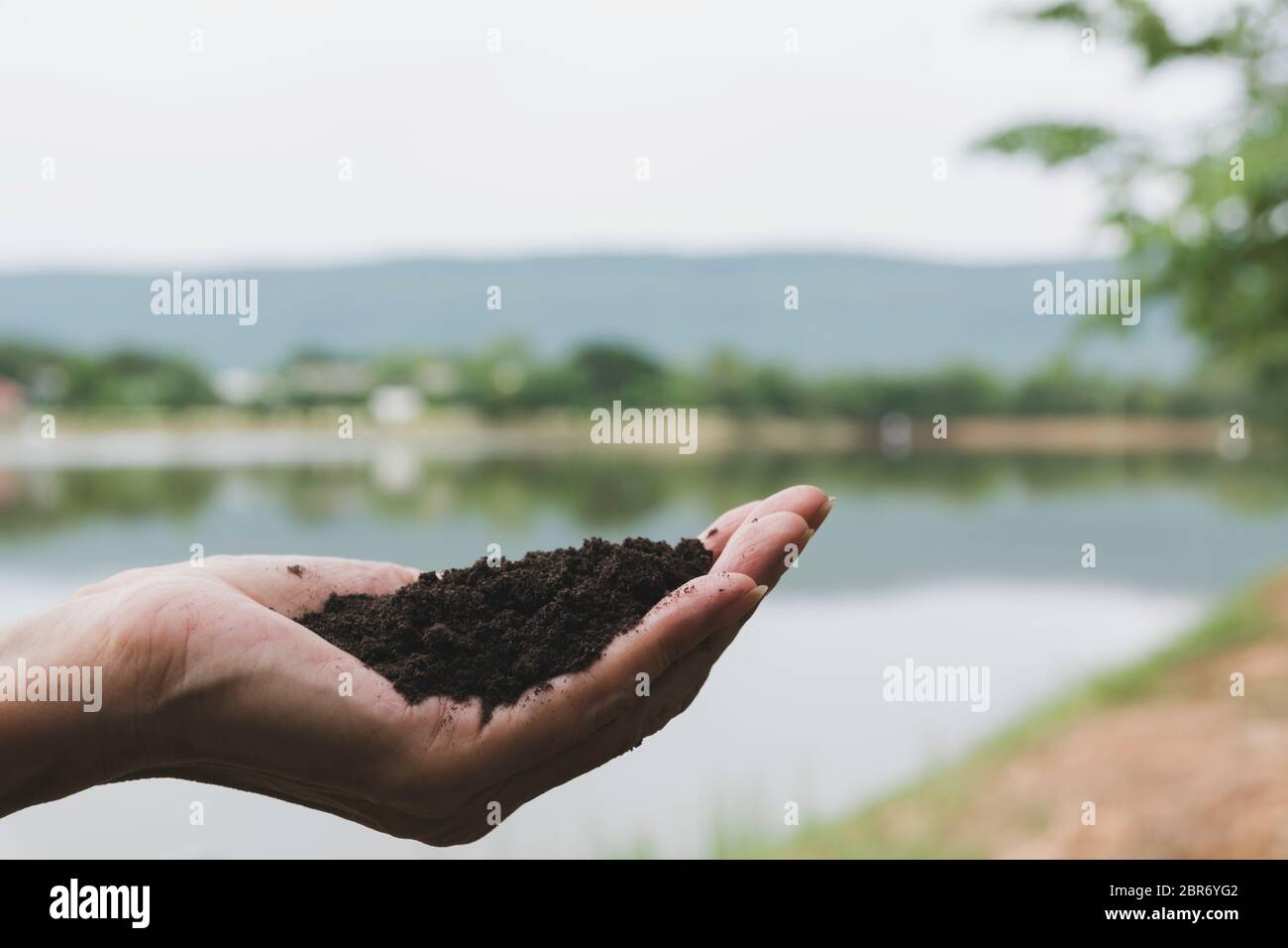 Hand of male holding soil in the hands for planting with copy space for ...
