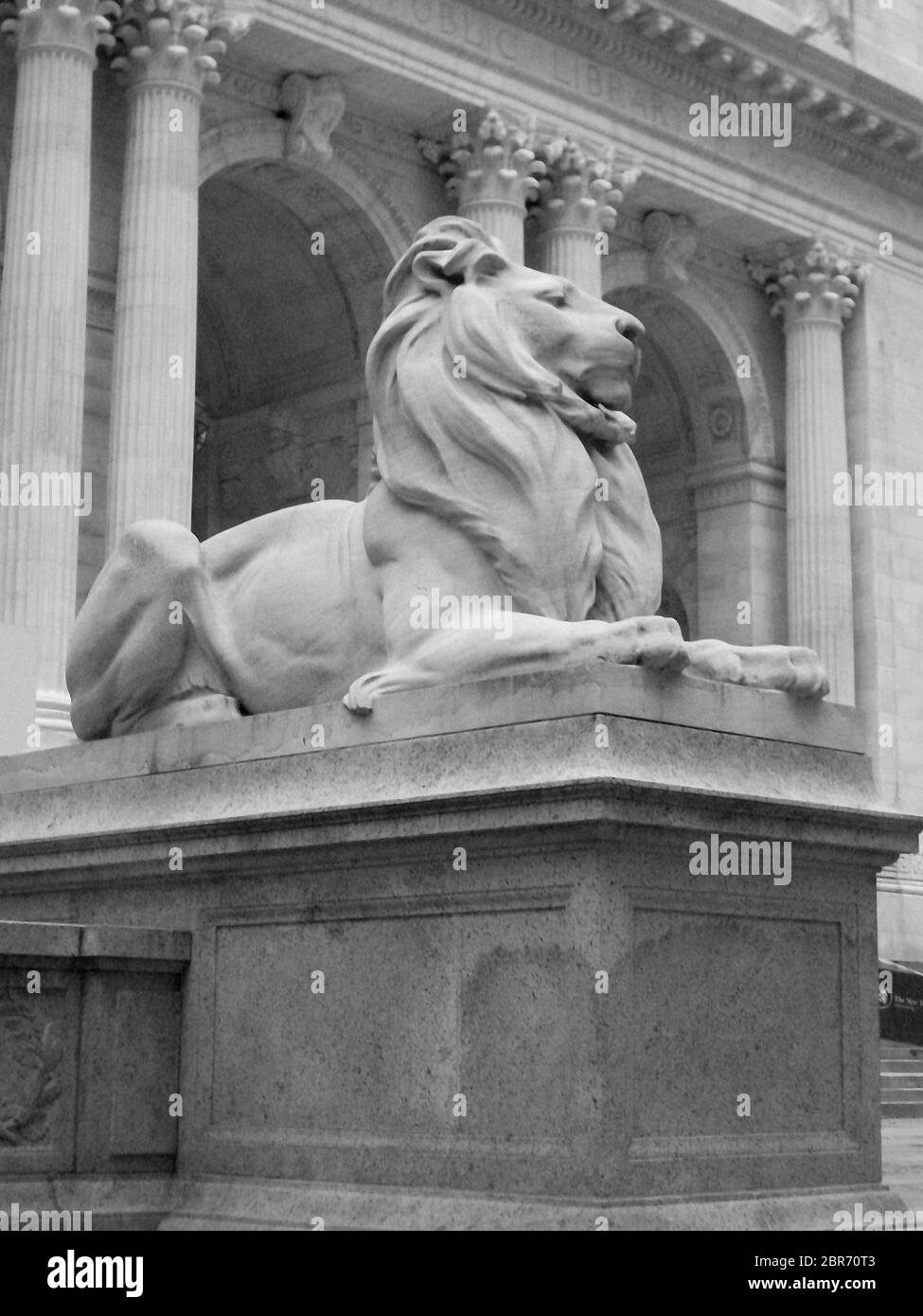 New york public library and lions hi-res stock photography and images ...