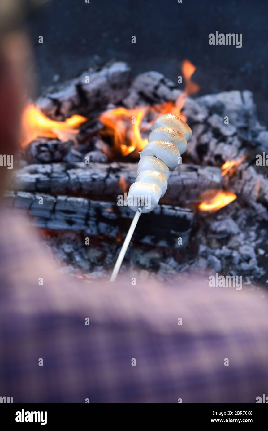 Toasting marshmallows over a fire hi-res stock photography and images ...